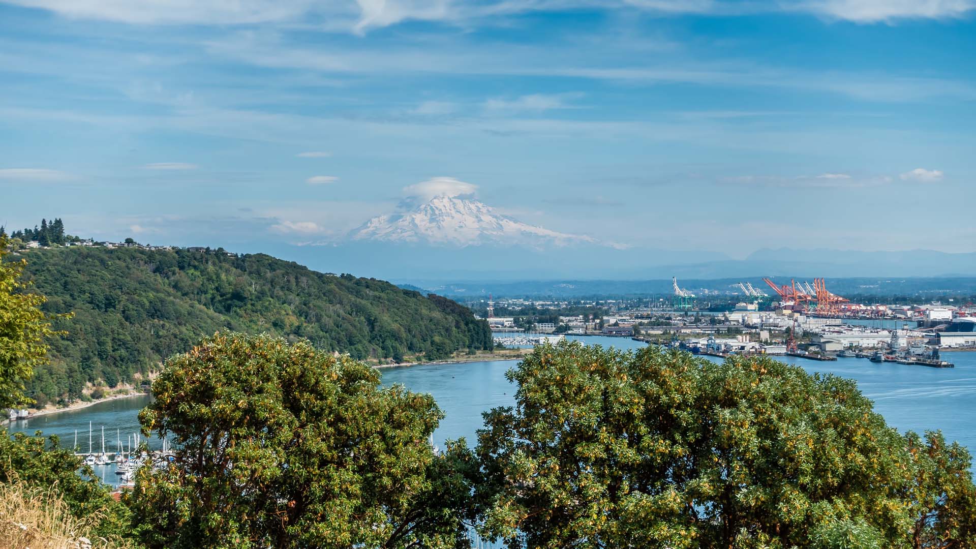 Federal Way/NE Tacoma, WA Community Info - Real Estate